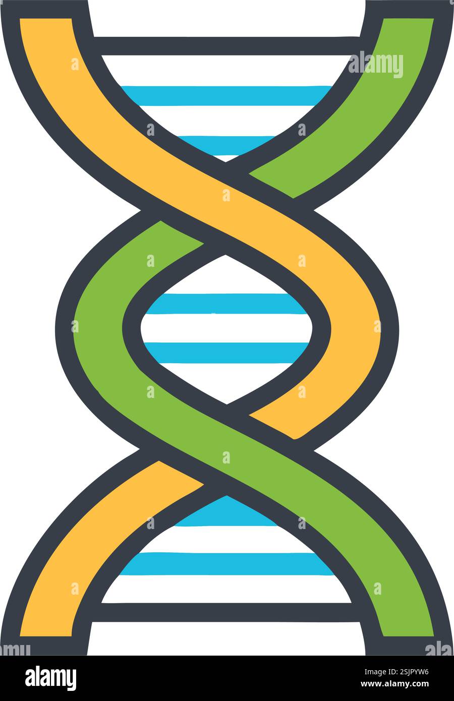 Biology DNA strand icon Stock Vector Image & Art - Alamy
