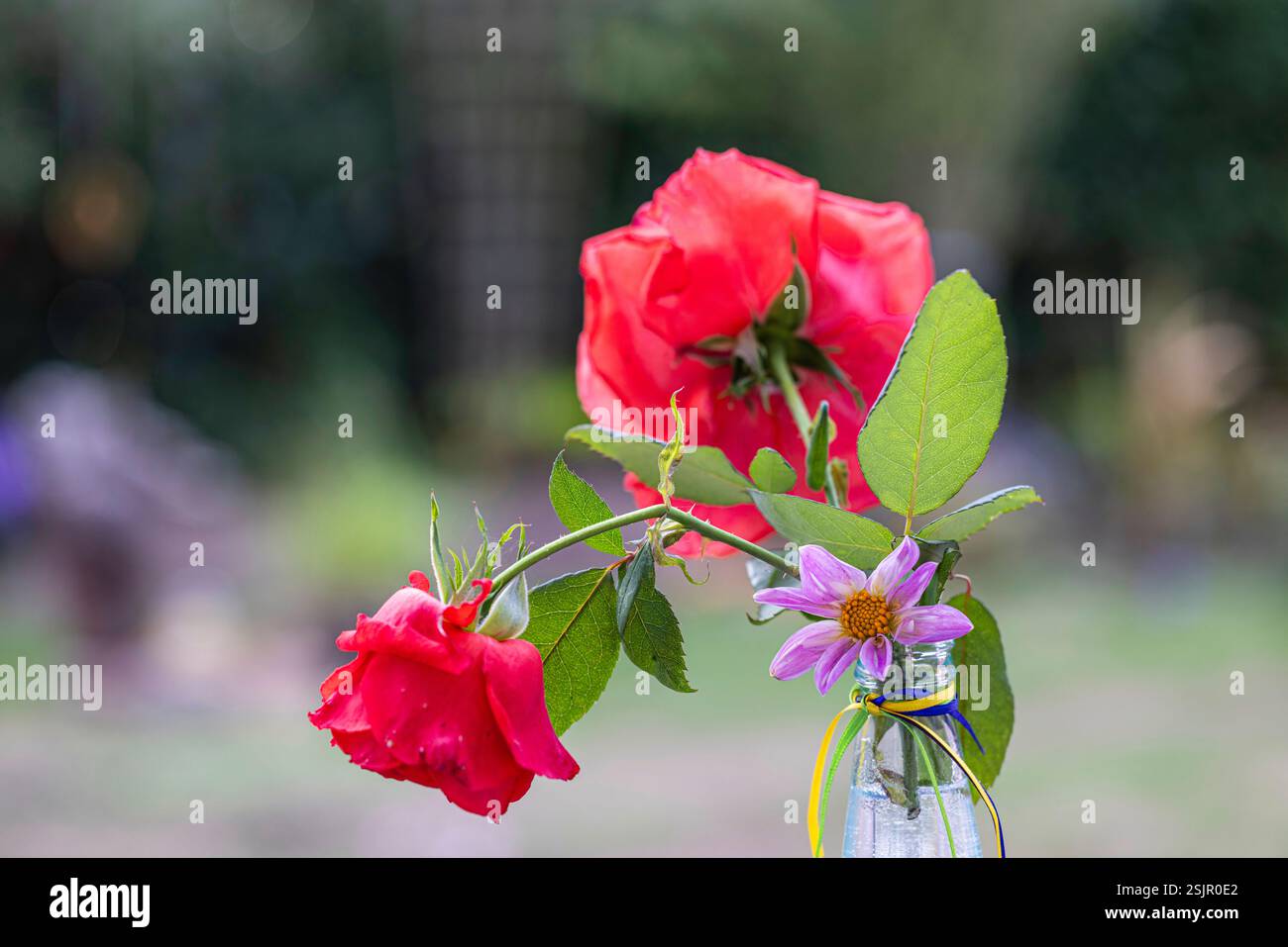 Simple flowers in a vase hi-res stock photography and images - Alamy