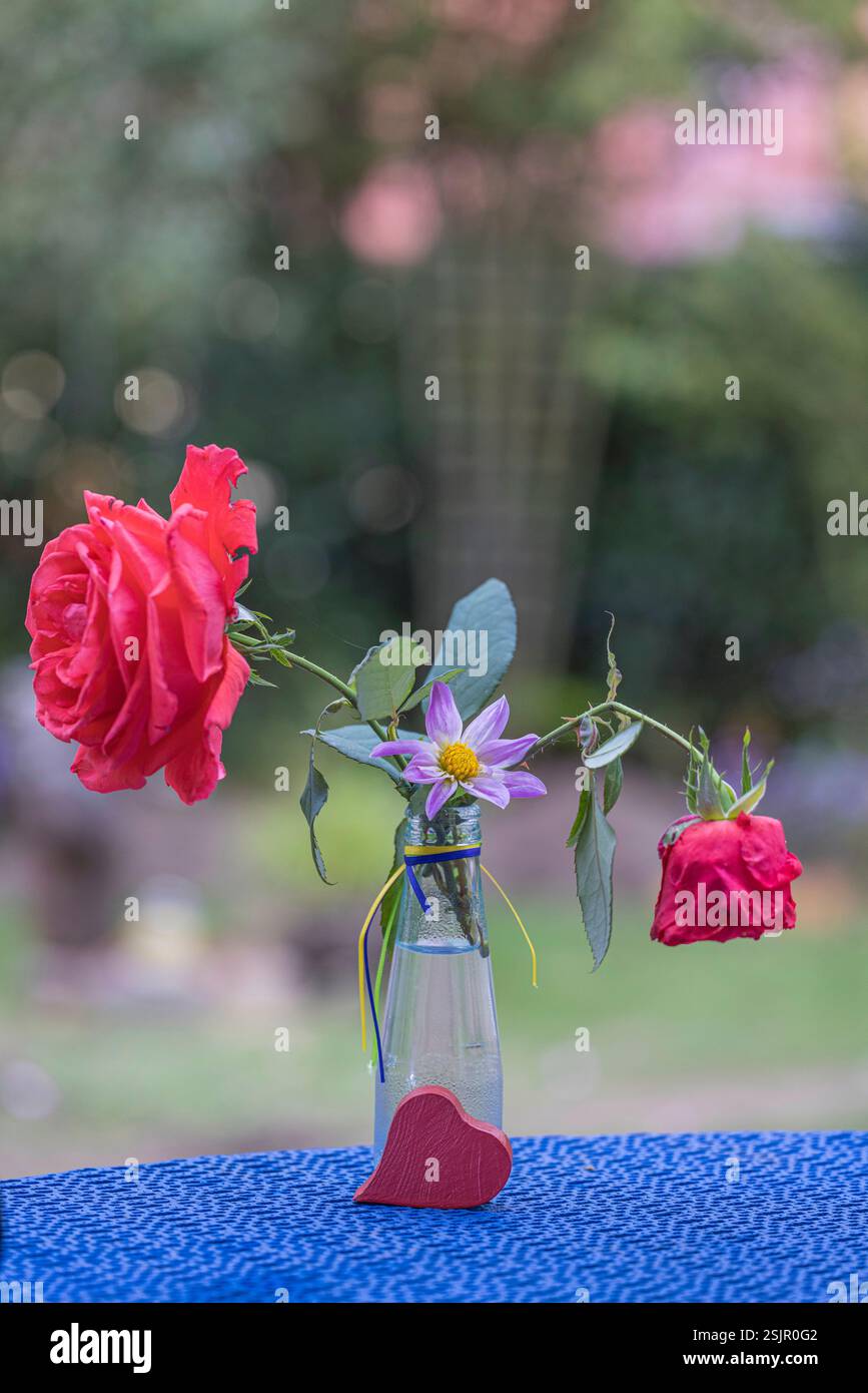 Decorative heart in glass hi-res stock photography and images - Alamy