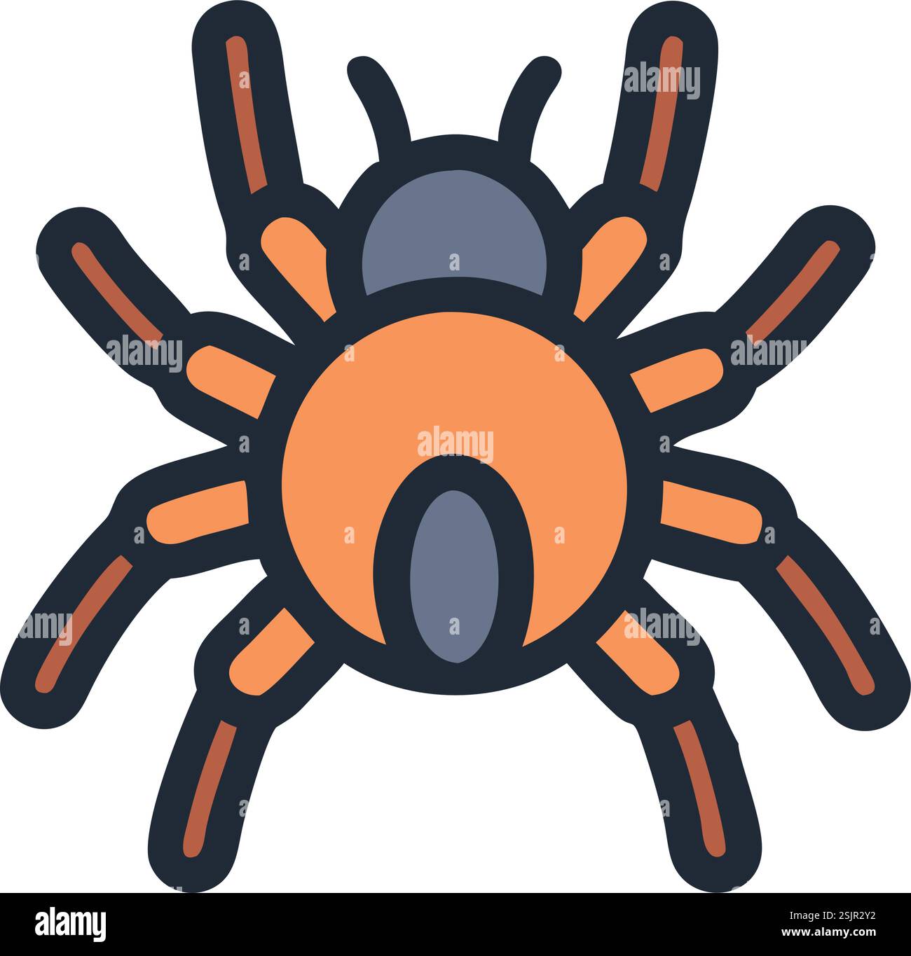Desert wildlife tarantula icon illustration Stock Vector Image & Art ...