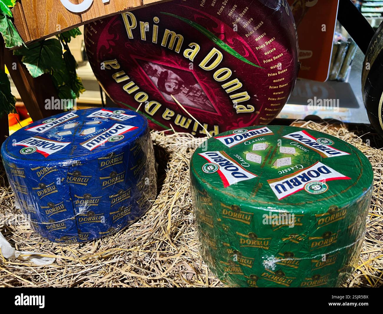 Kyiv, Ukraine - February 11, 2025: Variety of dorblu cheese wheels ...