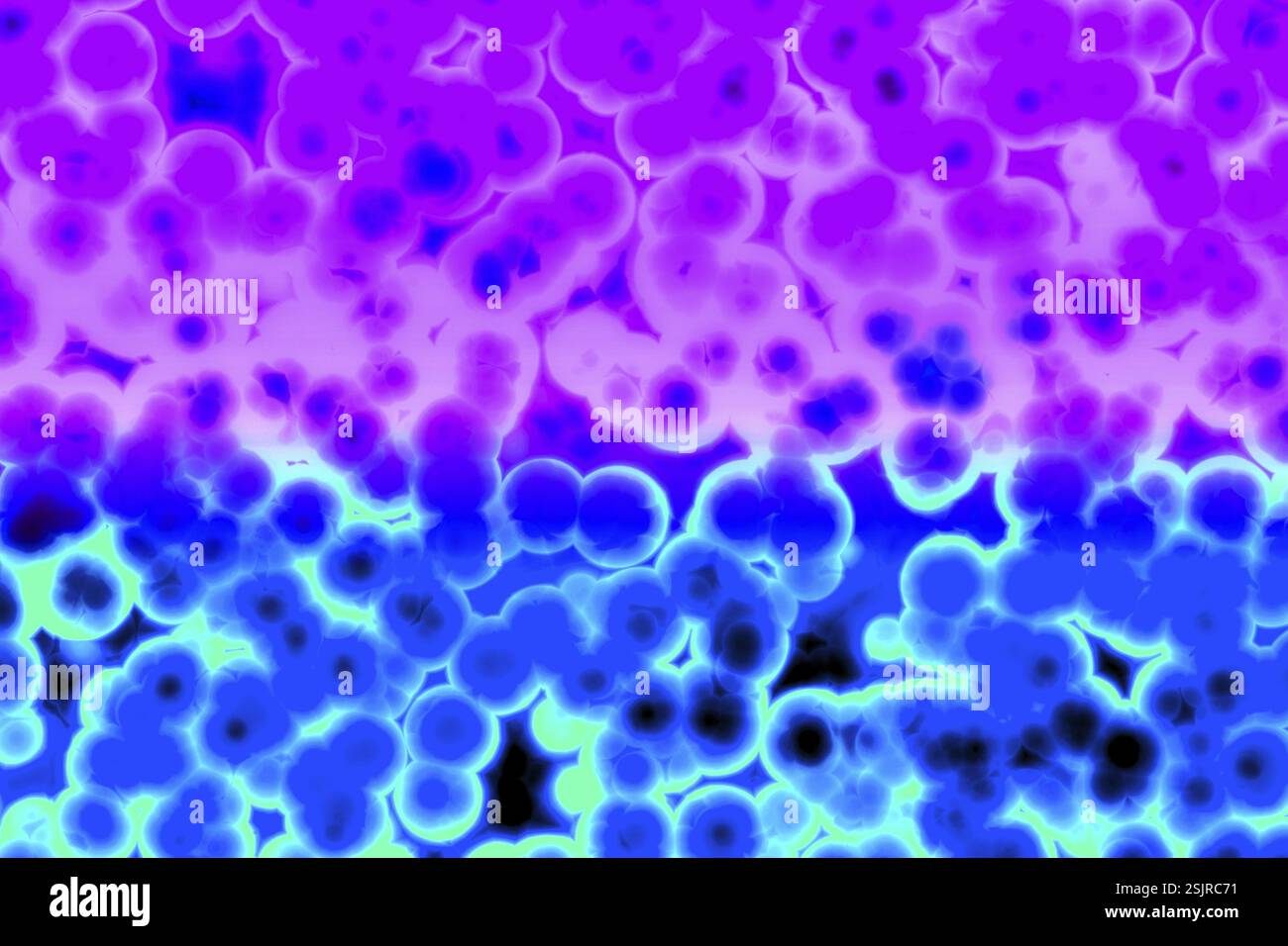 Shape of bacterial cell: cocci, bacilli, spirilla bacteria background ...