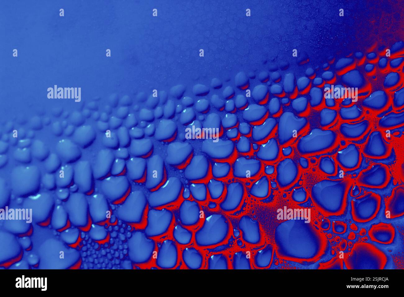 Water Damp Moisture Condensation on an indoors surface Stock Photo - Alamy