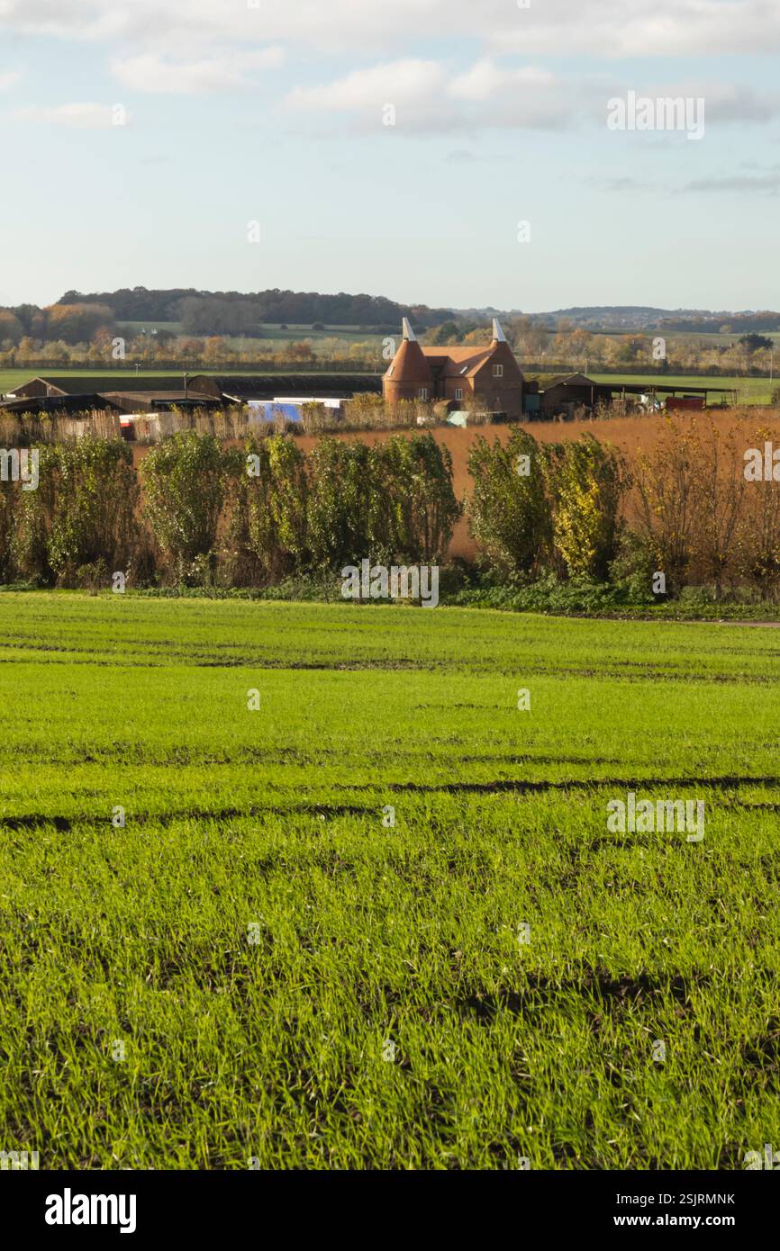 Oast house autumn kent hi-res stock photography and images - Alamy