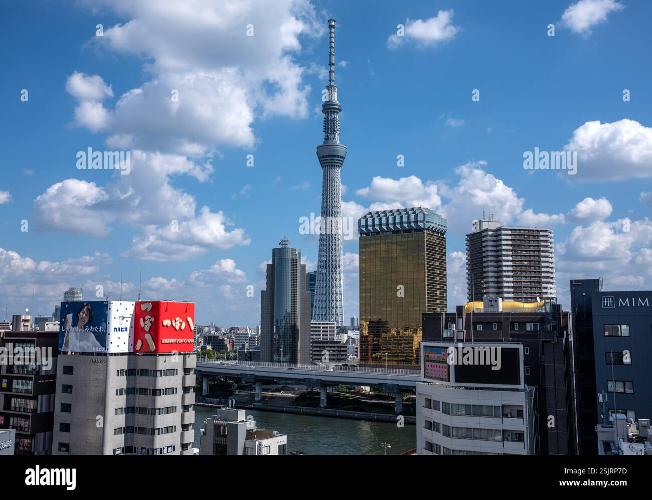 Tokyo Skytree (Sky Tree) seen from the rooftop of the Visitor ...