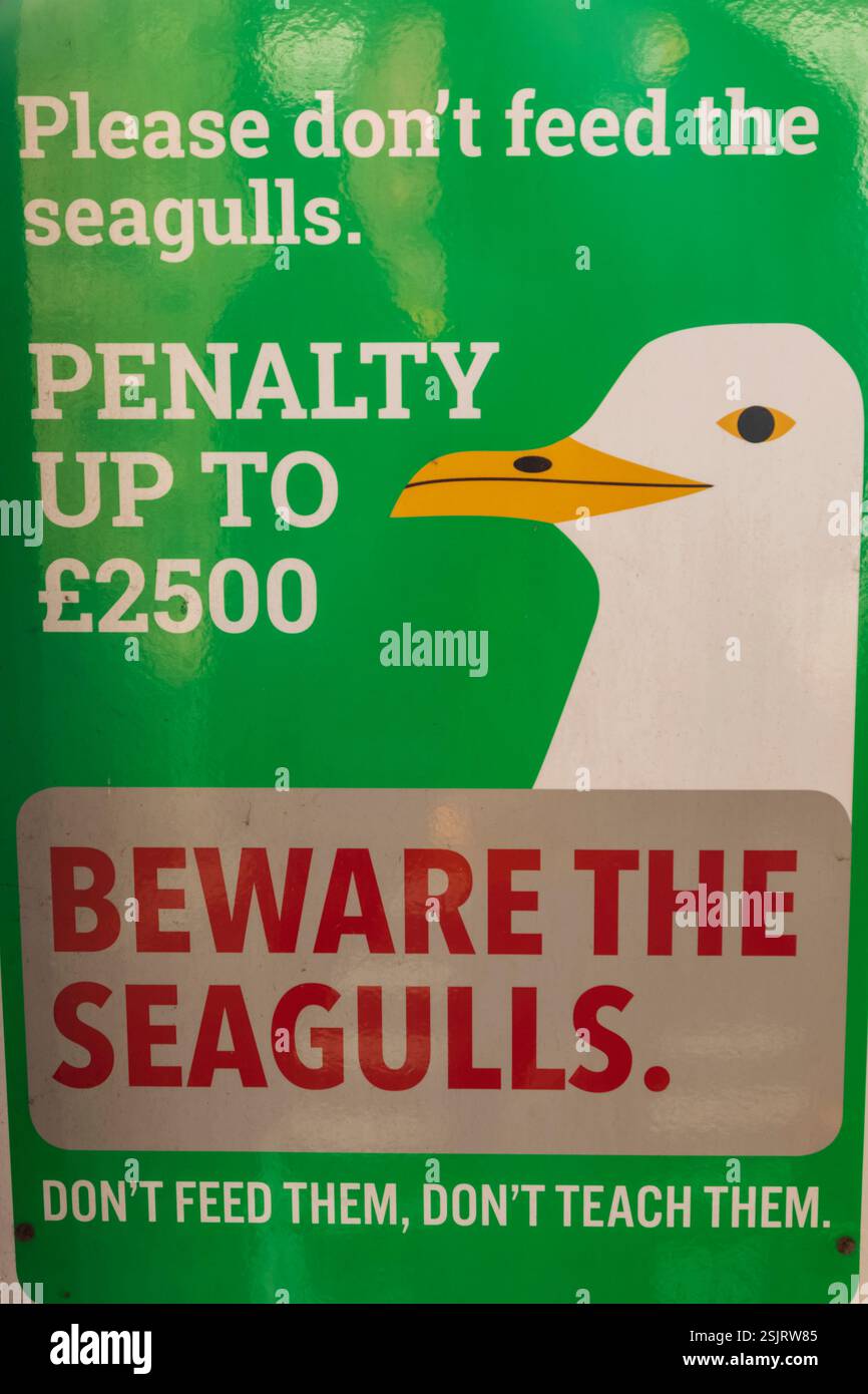 England, Kent, Dover, Amusing Colourful Beware the Seagull Sign Stock ...