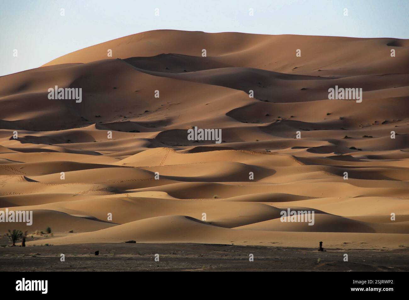 Dramatic dune shapes characterised by shadow and light, appear ...