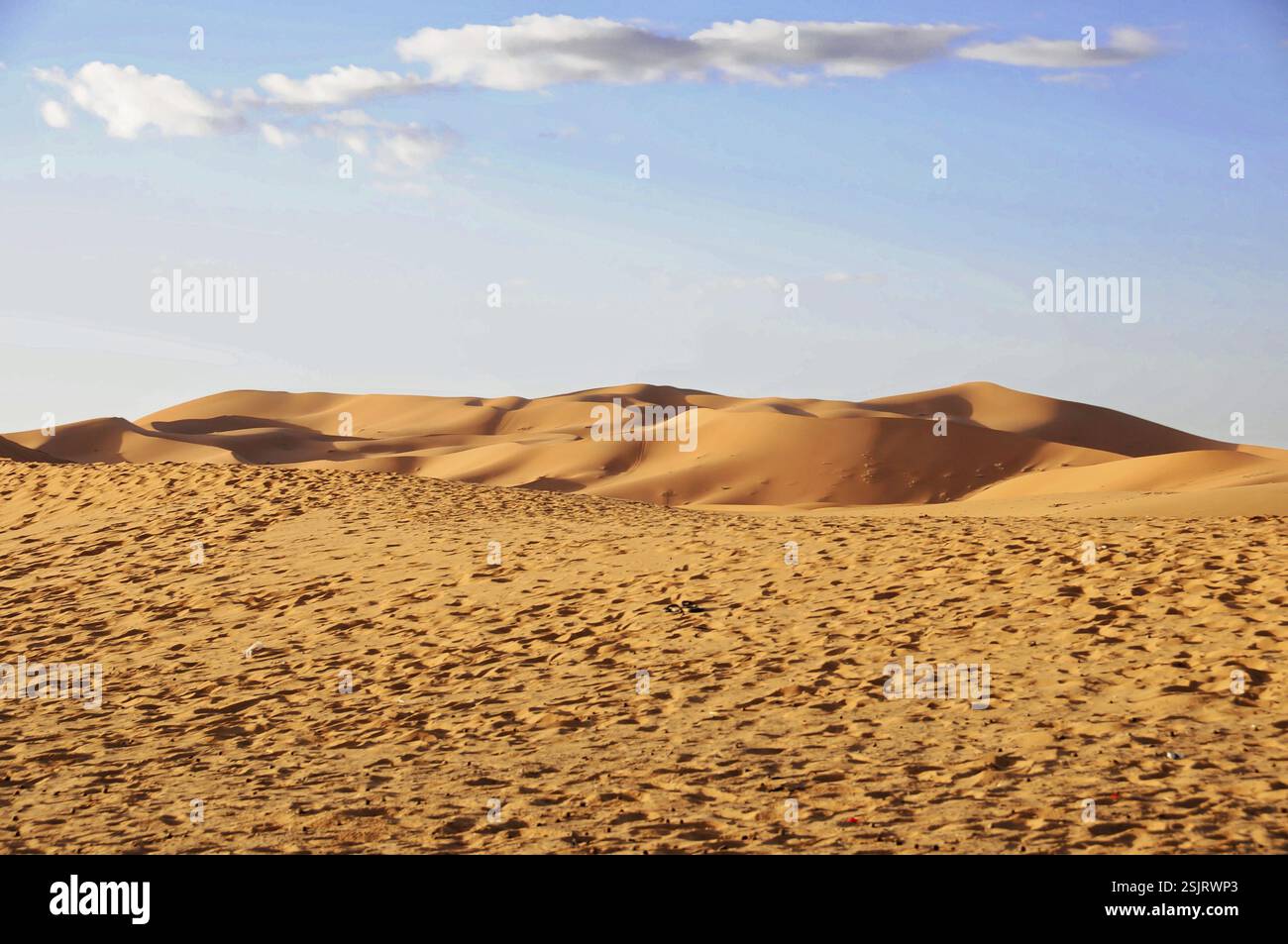 Endless expanse of sand dunes under a bright blue sky, sand dunes of Erg Chebbi, Erfoud, Middle ...