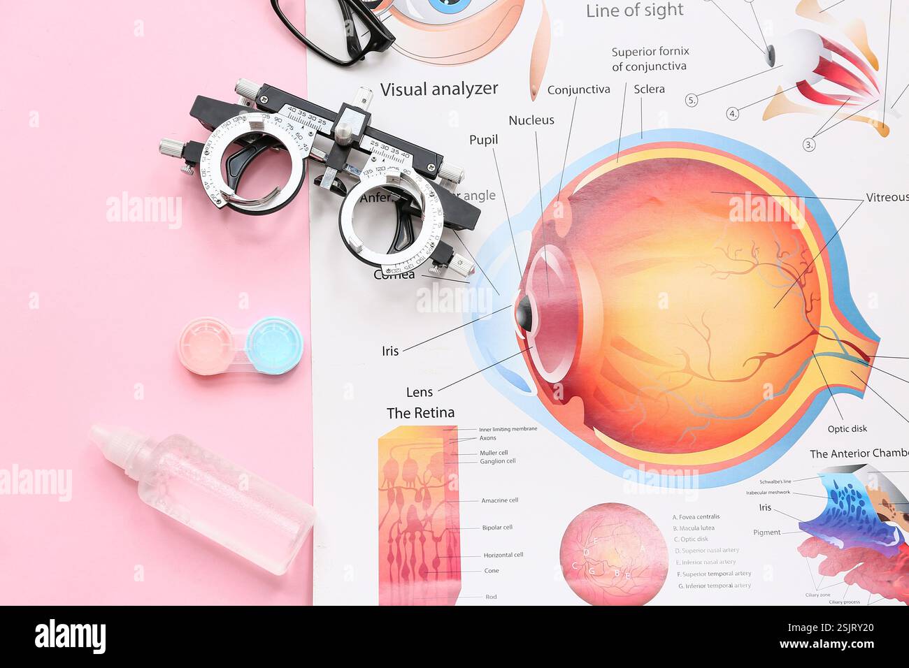 Poster of eye structure with optical trial frame, eyeglasses and set ...