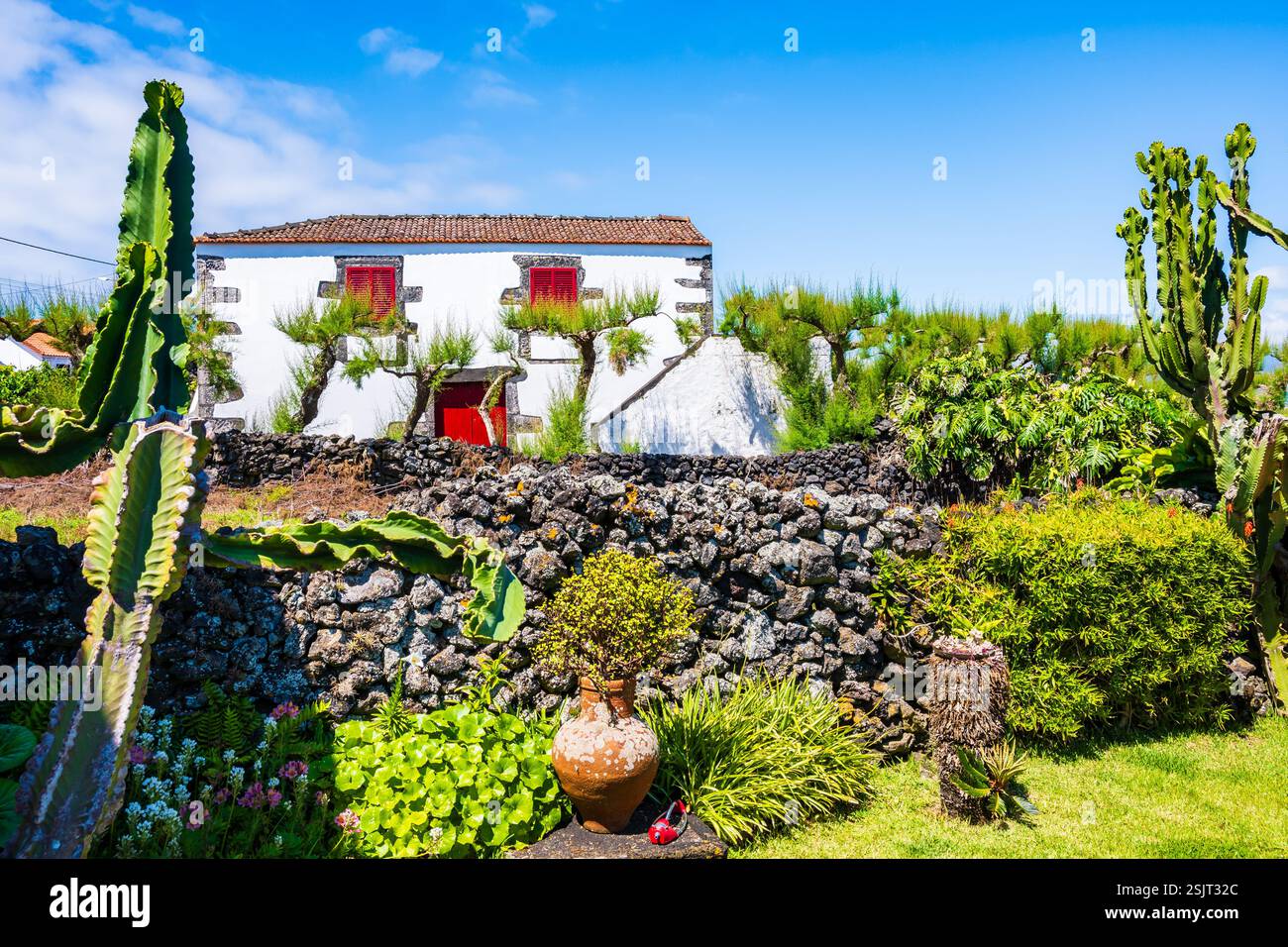 Traditional house and garden with cactus and tropical plants, Pico ...