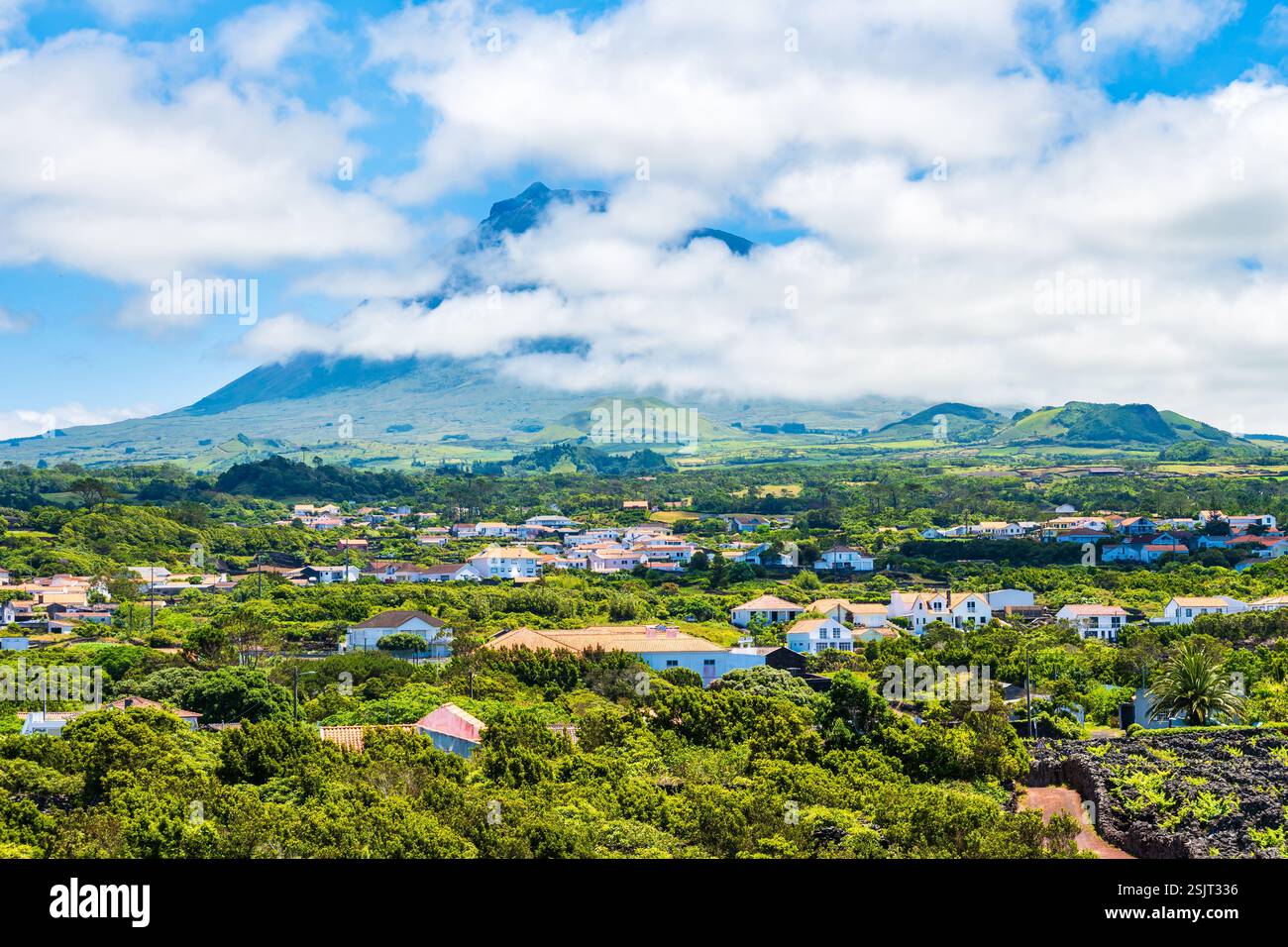 Typical houses and vine grapes in vineyard culture among volcanic rocks ...