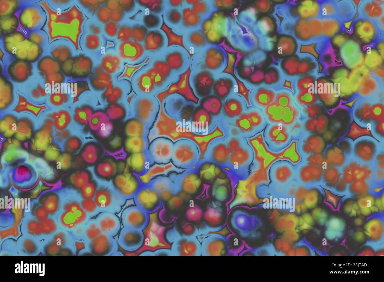 Shape of bacterial cell: cocci, bacilli, spirilla bacteria background ...