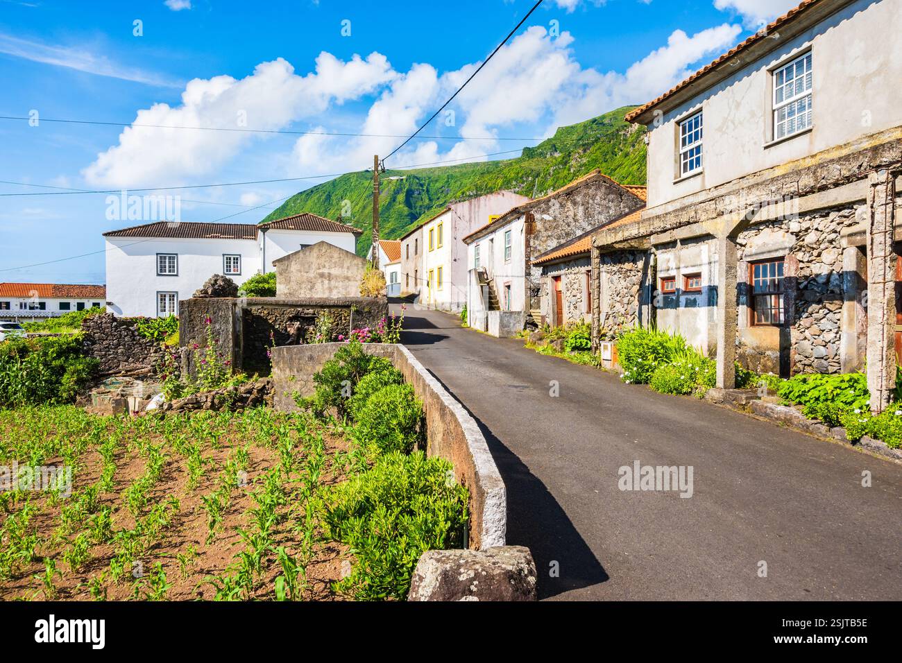 Street with traditional style houses and architecture in Faja Grande ...