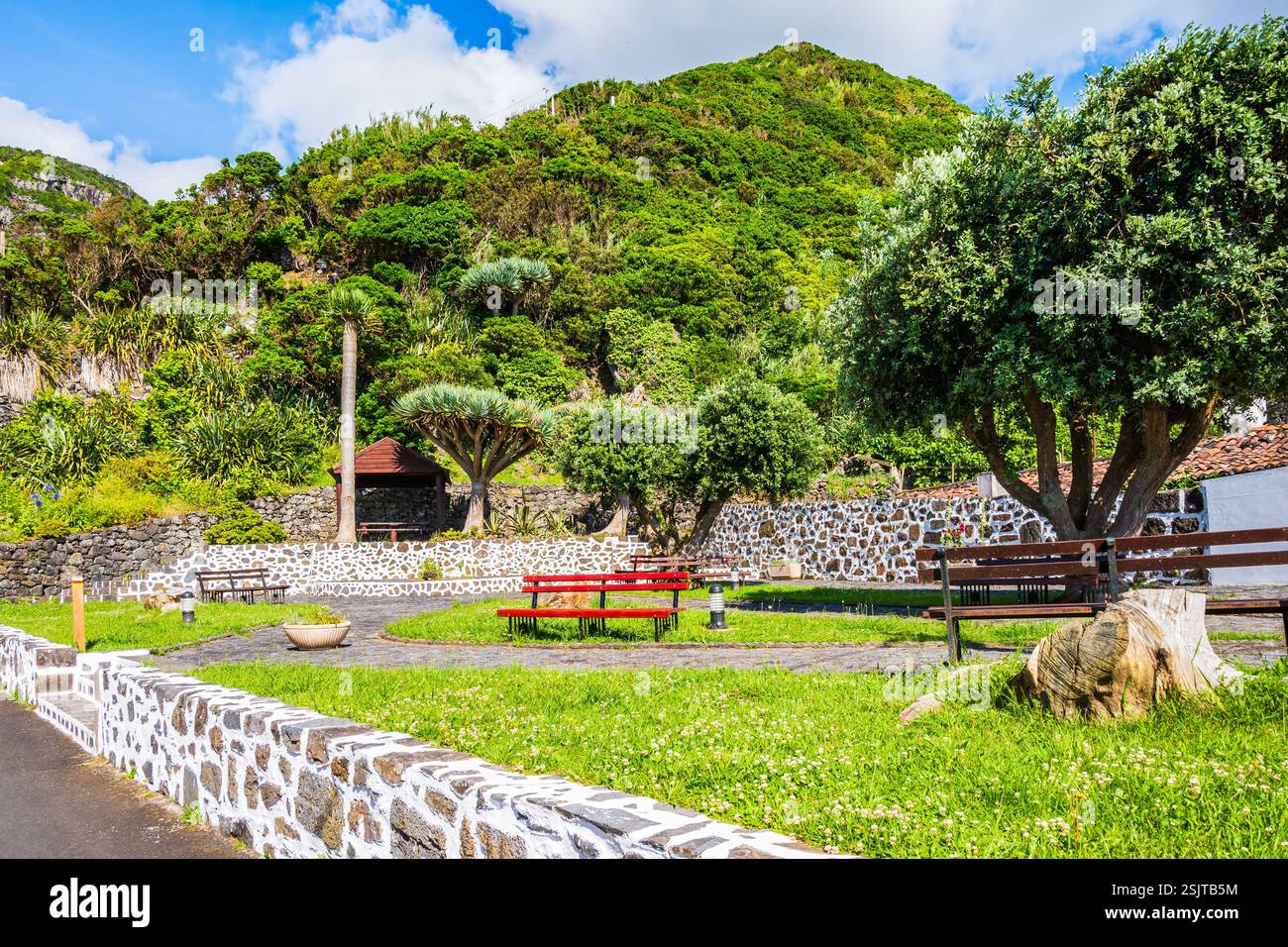 Square with traditional style houses and architecture in Faja Grande ...