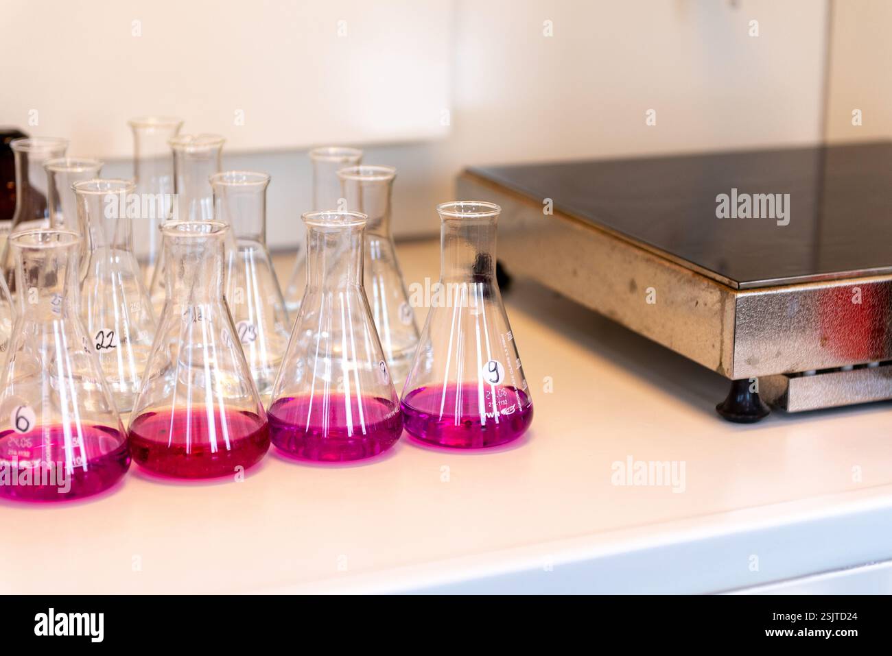 Laboratory equipment. Rows of Erlenmeyer flasks filled with ...