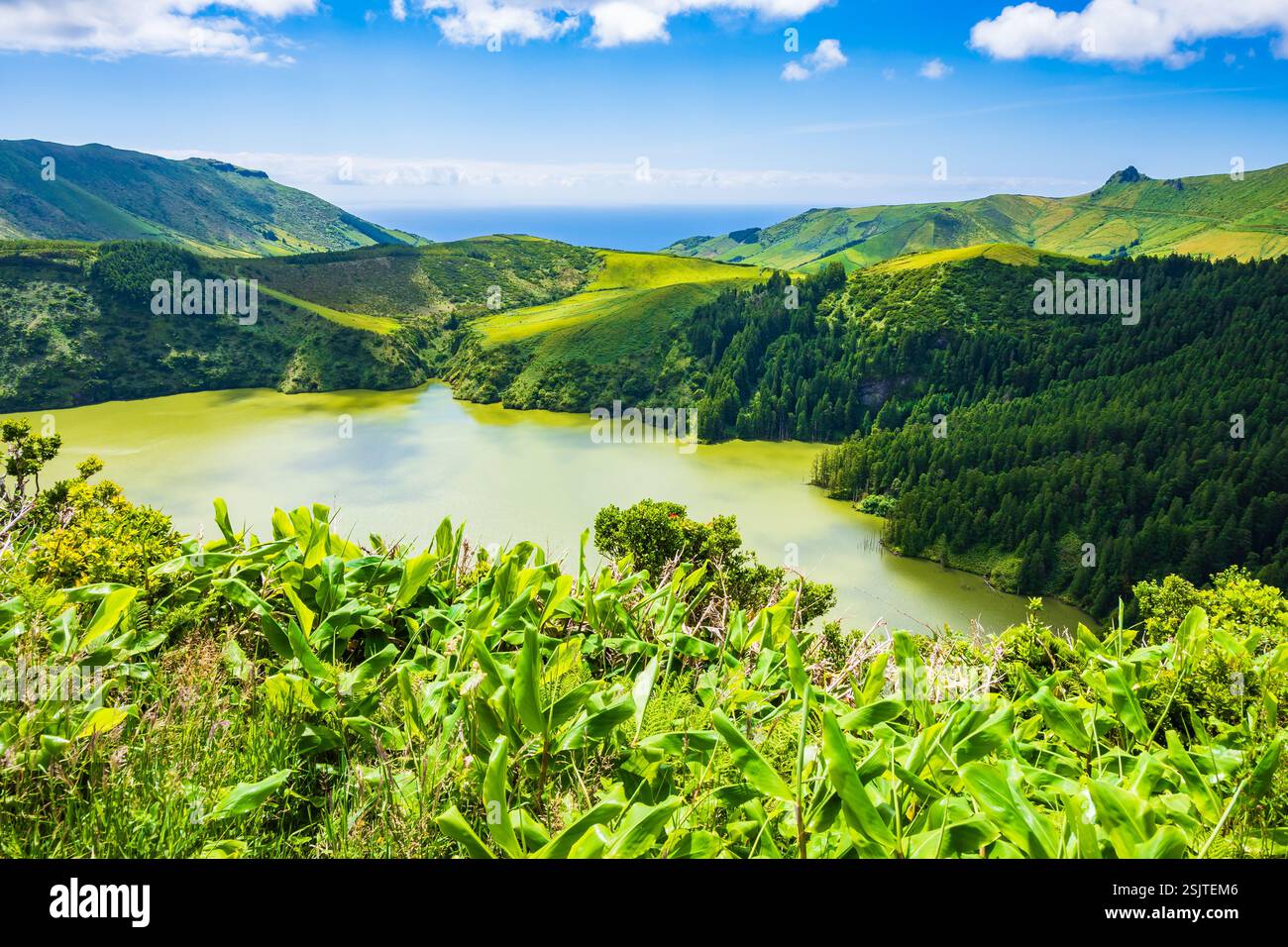 View of green lake in volcano caldera at Rasa e Funda and tropical ...
