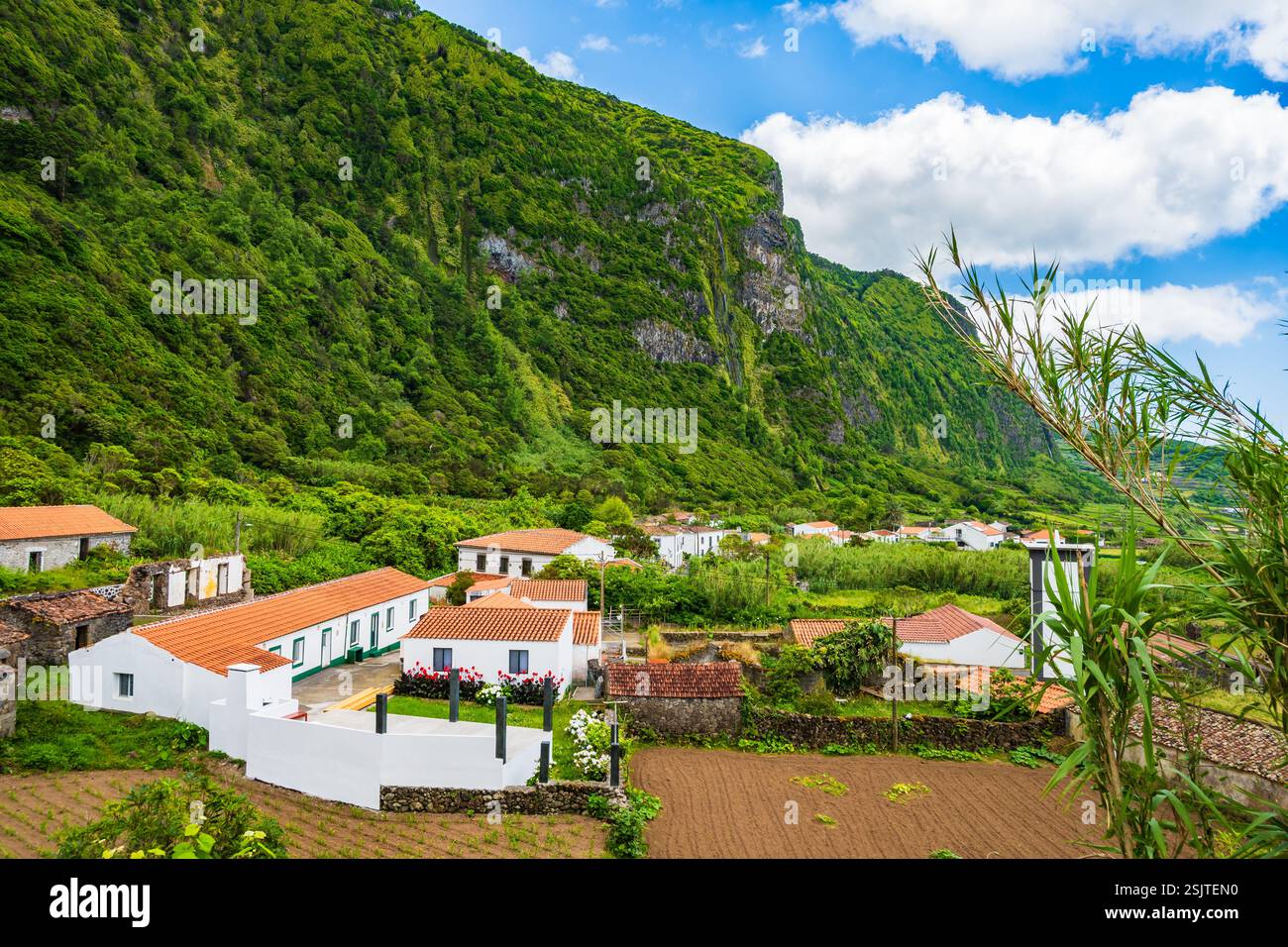 Typical farming houses in traditional style architecture in Faja Grande ...