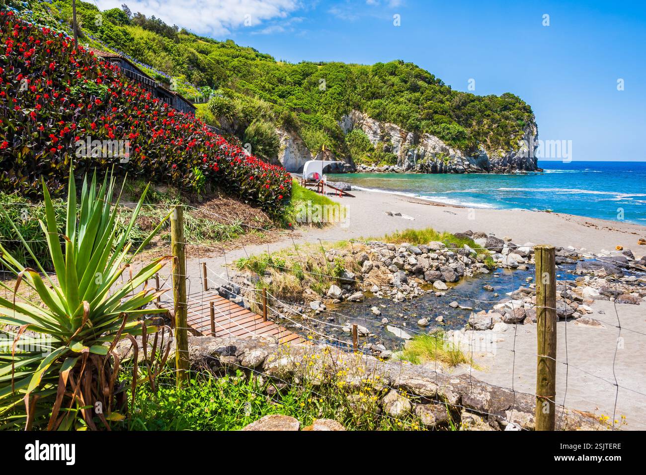 Agave plant and view of Moinhos beach with idyllic ocean bay, Sao ...