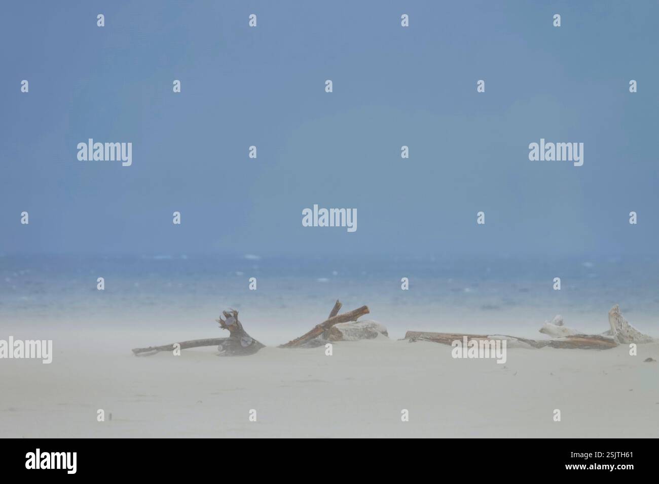 Carmel, California, USA - February 6th, 2025 Winter wind and sand ...