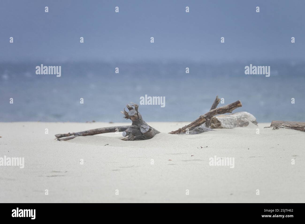 Carmel, California, USA - February 6th, 2025 Winter wind and sand ...