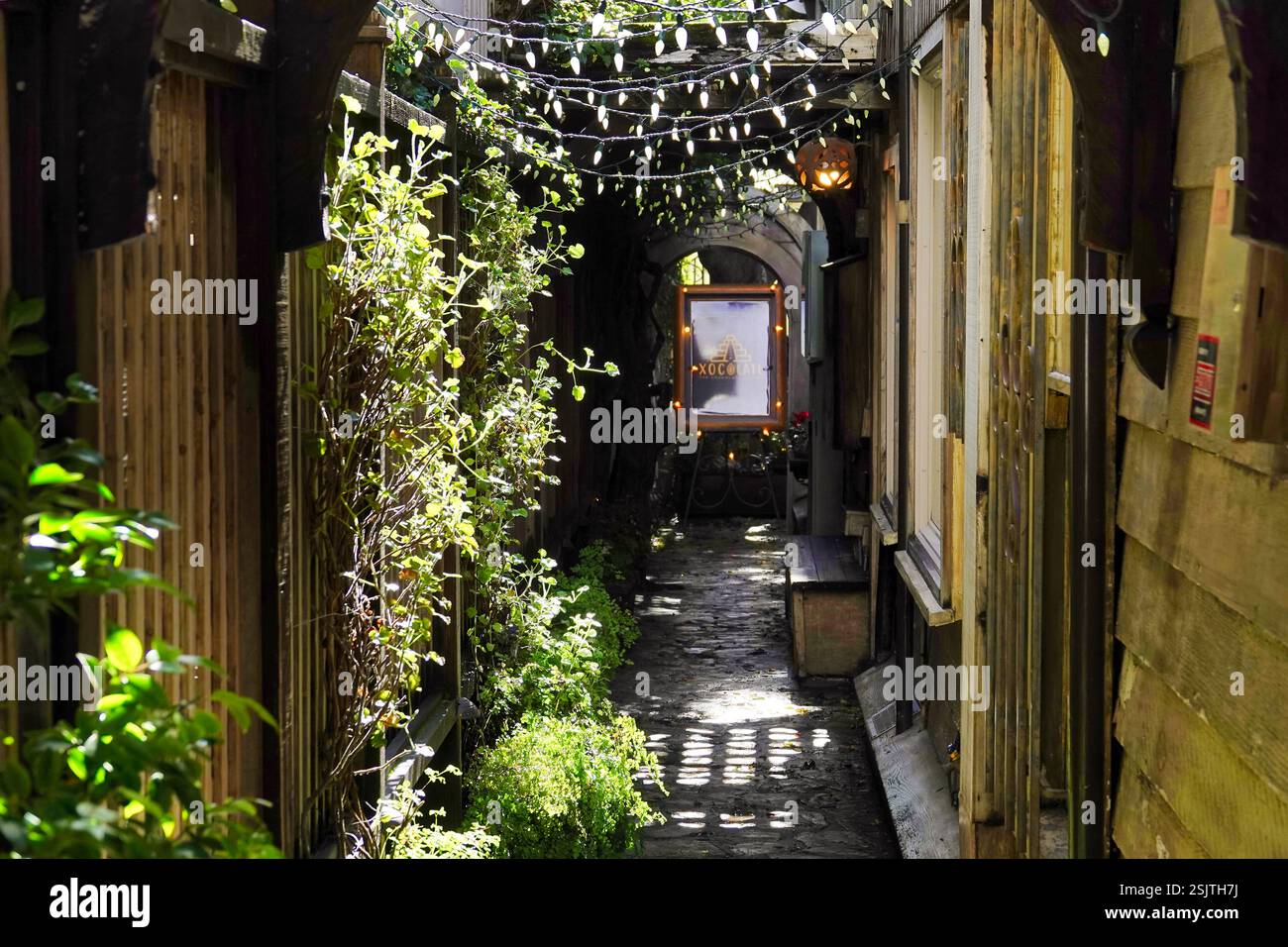 Carmel, California, USA - February 6th, 2025 The Der Ling Lane ...