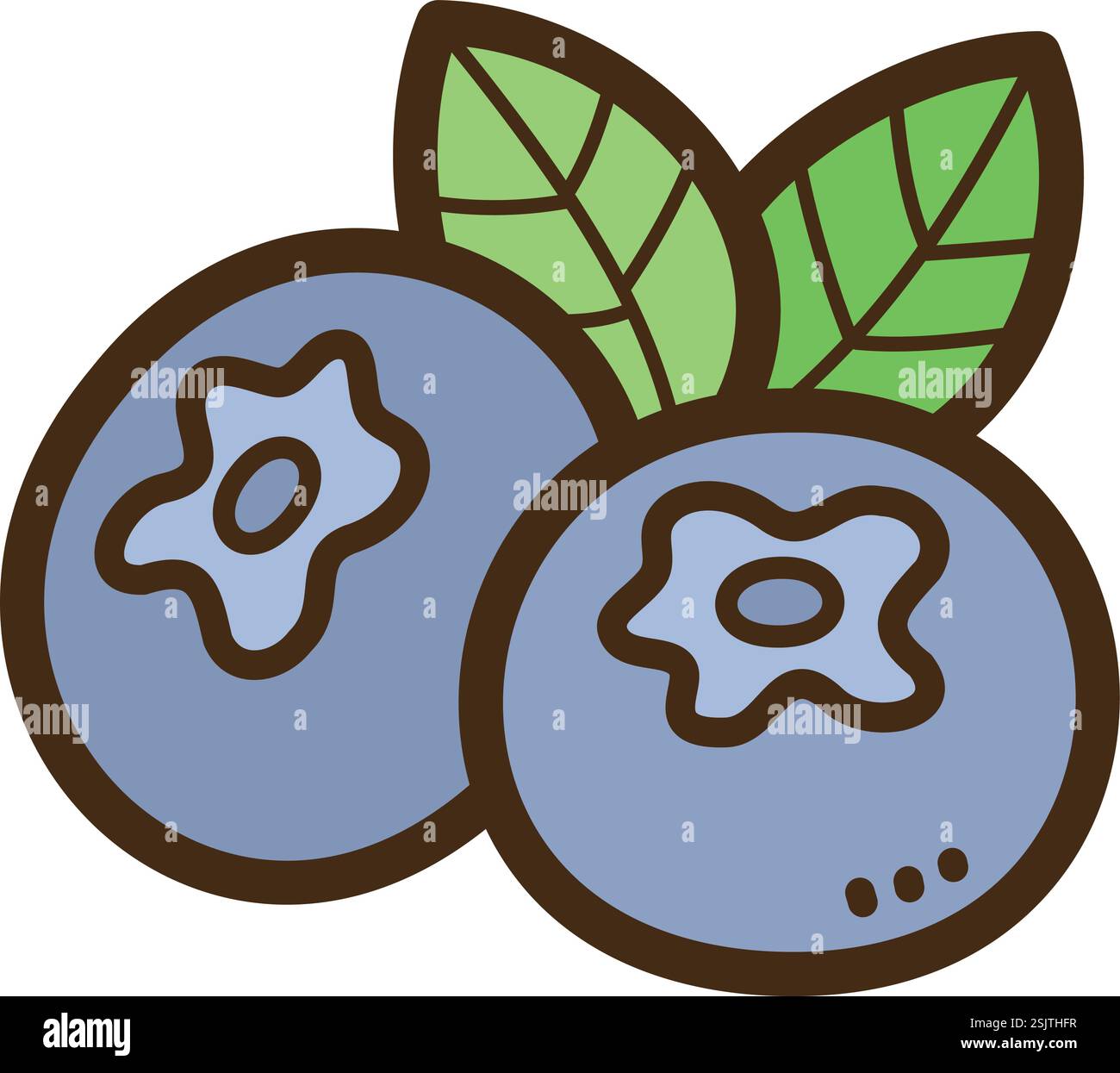 Blueberry vector doodle illustration and graphic. Part of fruits ...