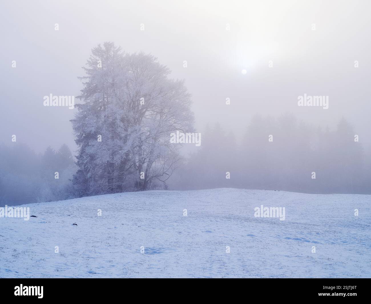 Winter landscape between Tutzing and Traubing, Starnberg district ...