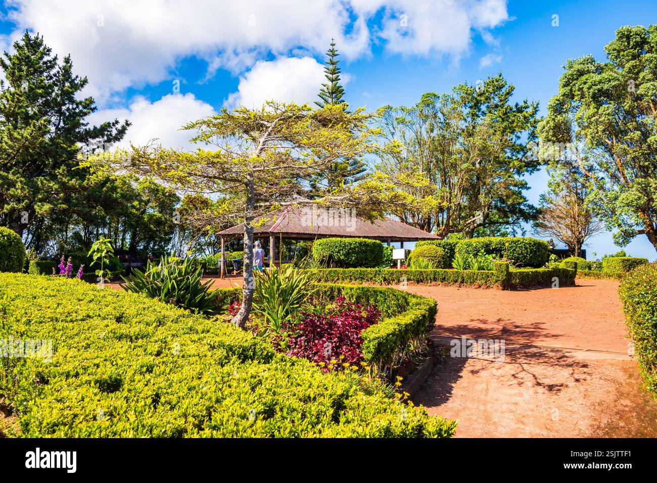 Tropical gardens with flowers and exotic plants in Ponta do Sossego ...