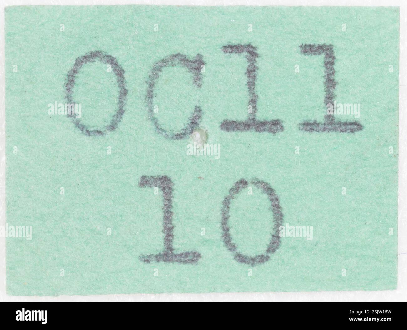 (Prairiana serrata), Insecta, South Bimini, The Bahamas, This is the ...