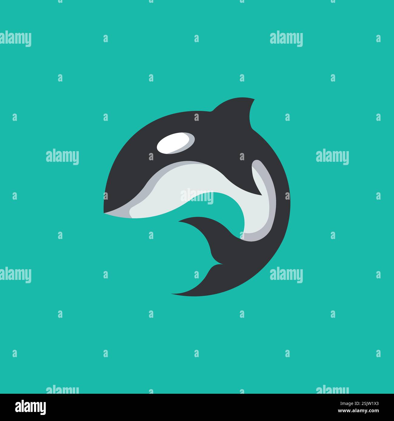 Vector illustration of orca cartoon Stock Vector Image & Art - Alamy