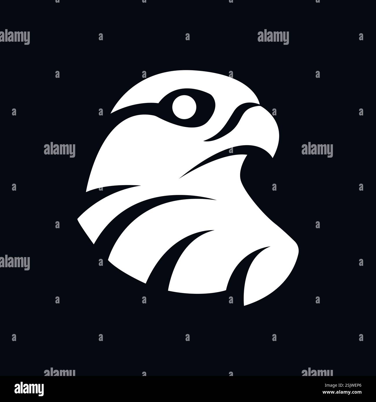 Vector illustration of cartoon hawk Stock Vector Image & Art - Alamy