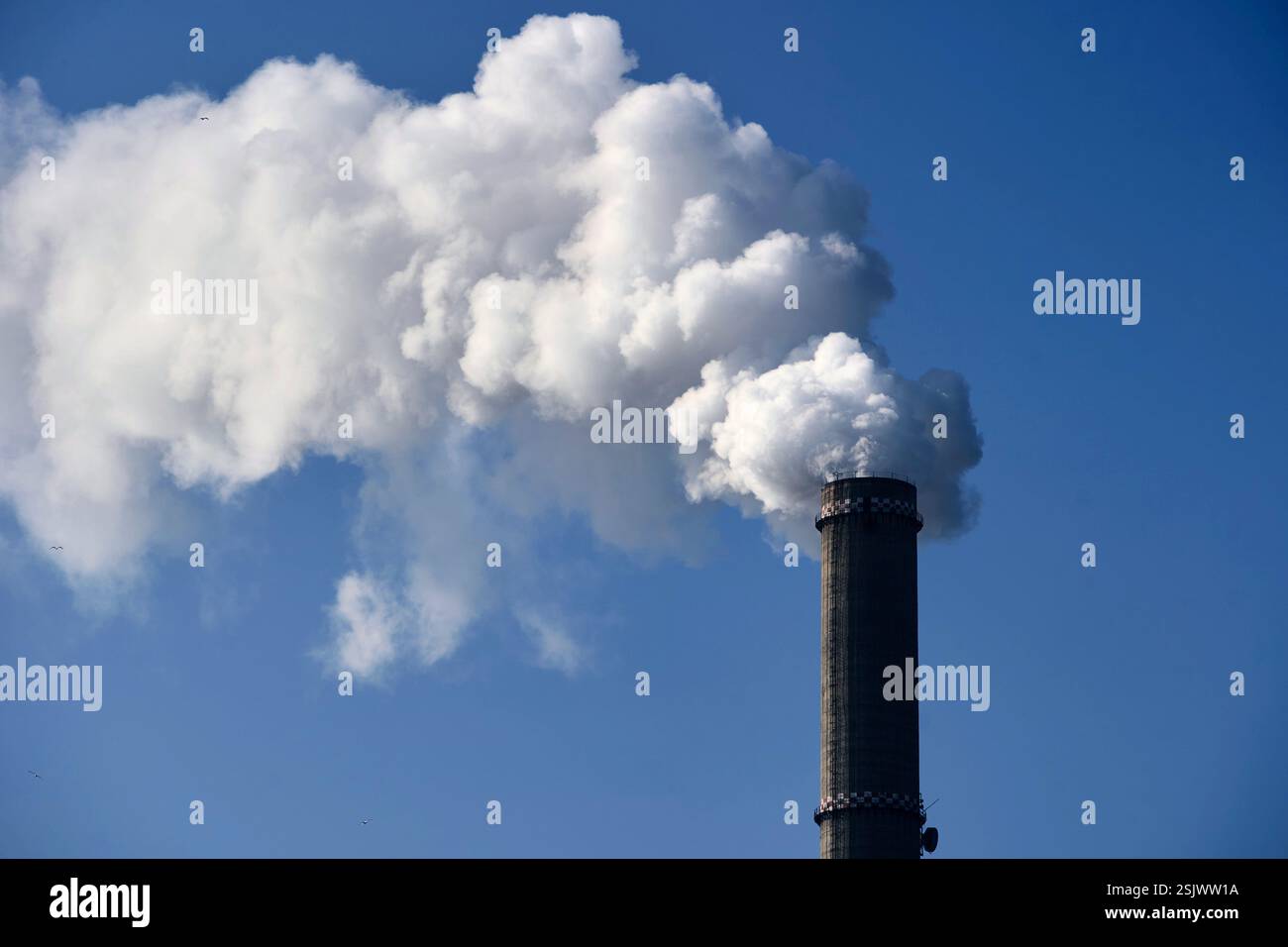 Bucharest, Romania. 11th Feb, 2025: Chimney of CET Progresul power ...