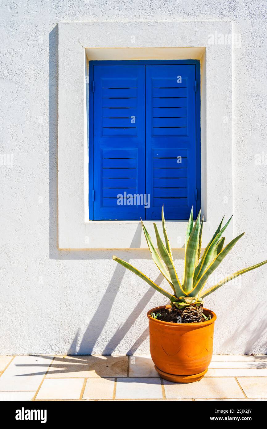 Flower pot against white wall of a typical Greek house with blue window ...