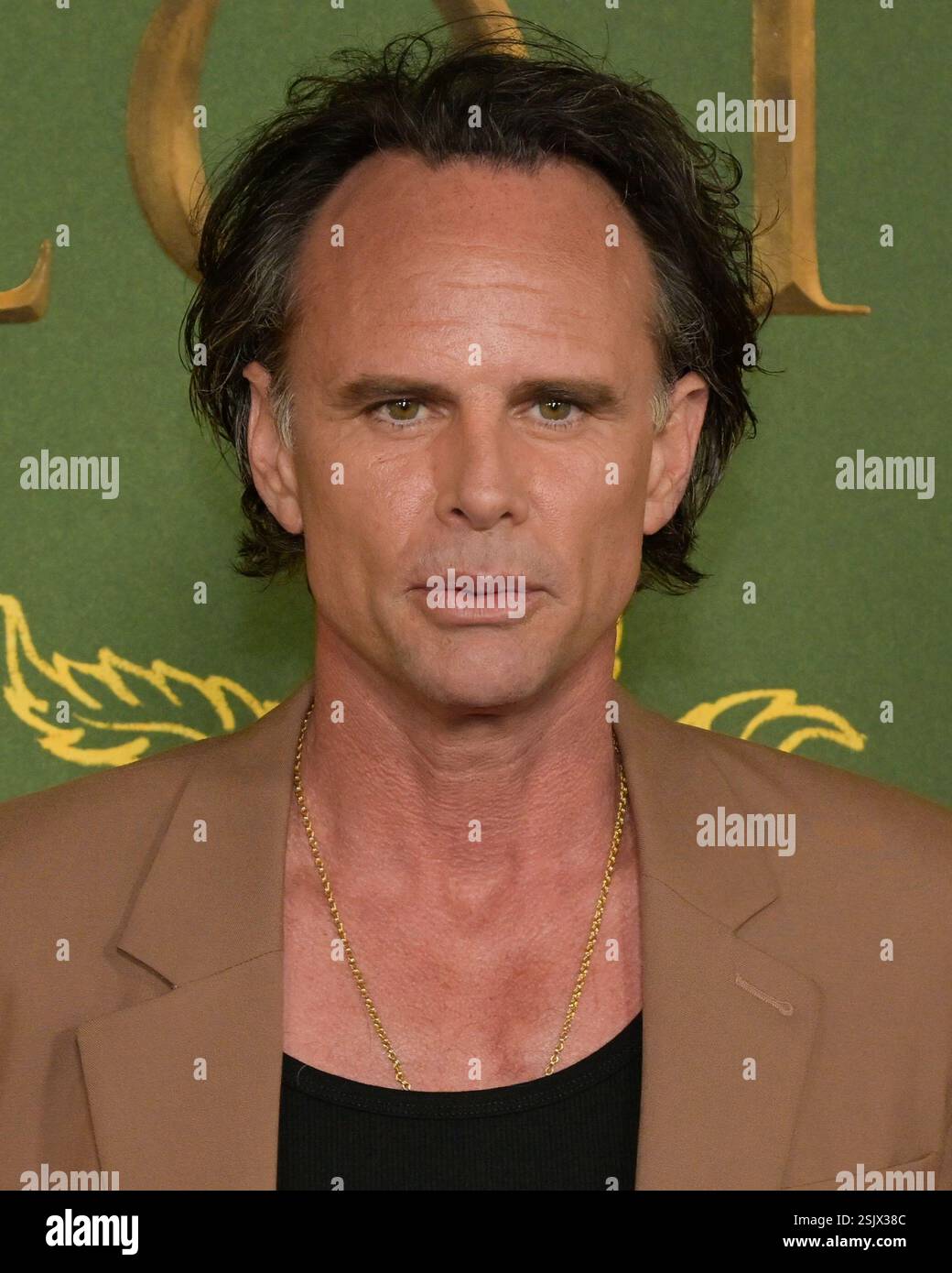 February 10, 2025, Hollywood, California, USA: Walton Goggins attends ...