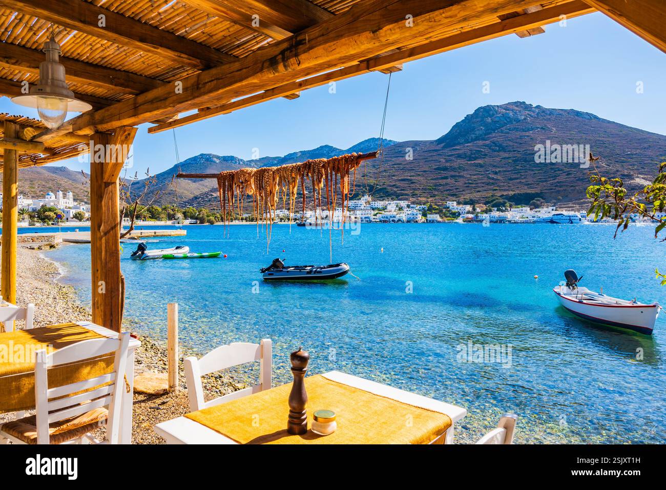 Fresh octopus fish drying in restaurant on sea promenade in Katapola ...