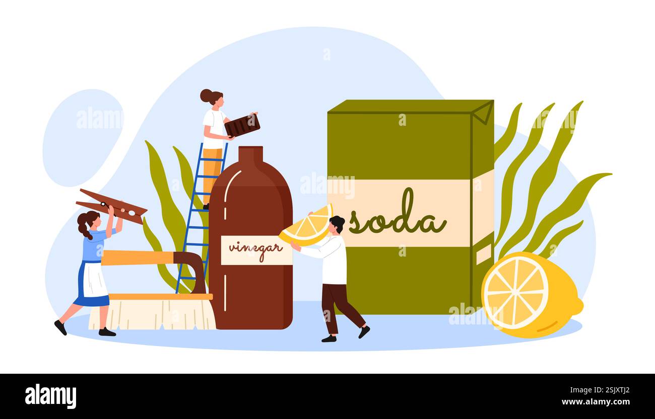 Eco friendly cleaning service with biodegradable cleaners and natural ...