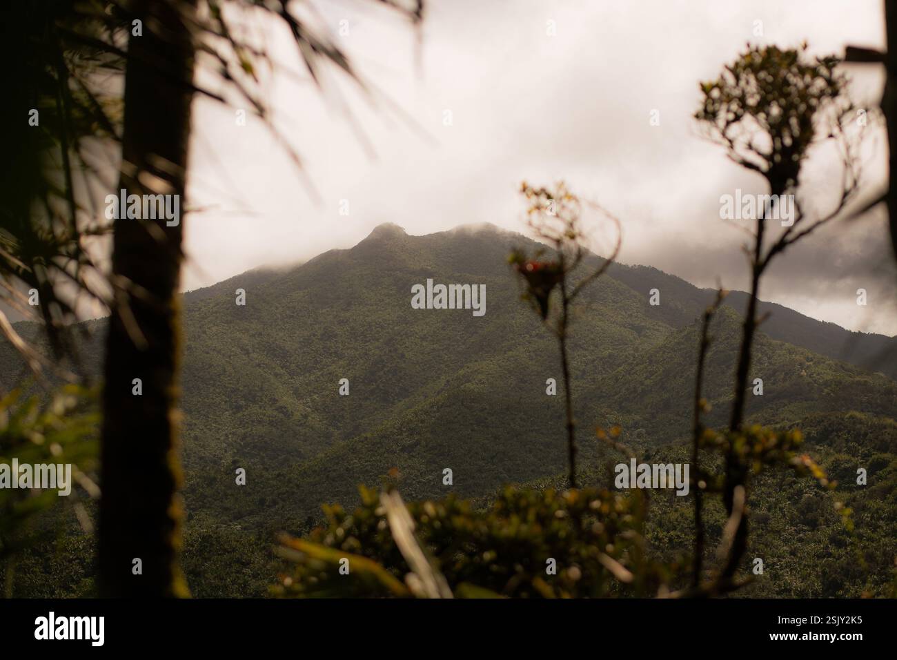 window view of the Puerto Rican mountains Stock Photo - Alamy