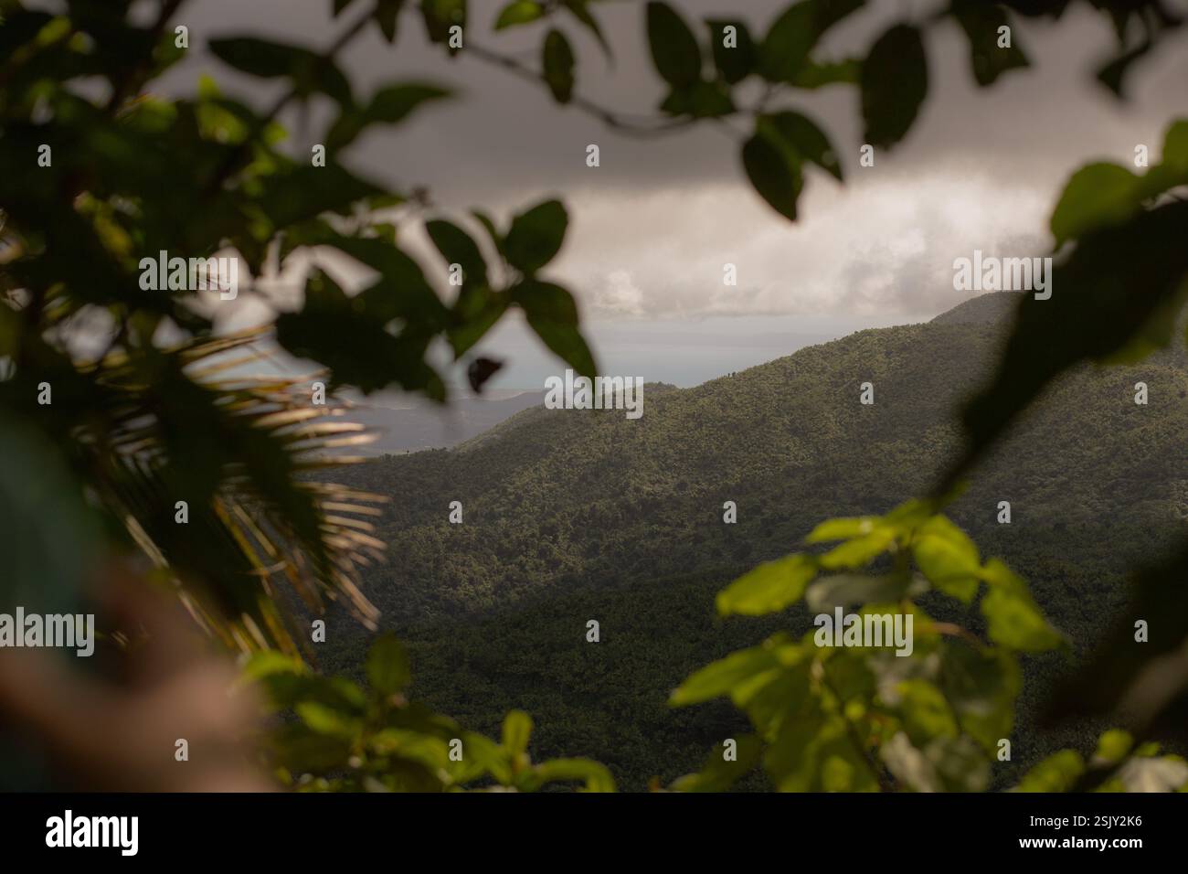 window view of the Puerto Rican mountains Stock Photo - Alamy