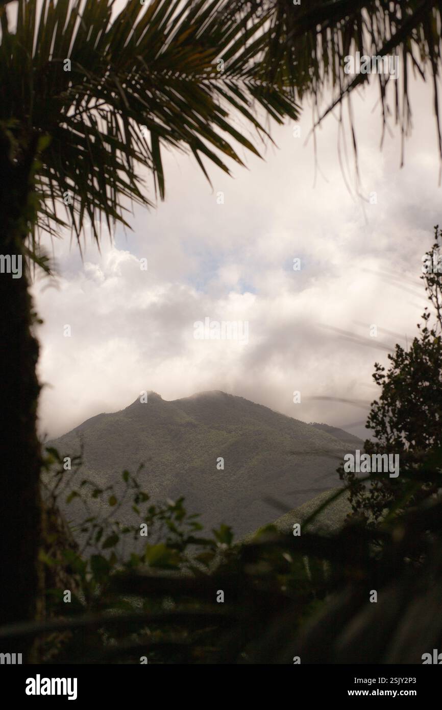 window view of the Puerto Rican mountains Stock Photo - Alamy