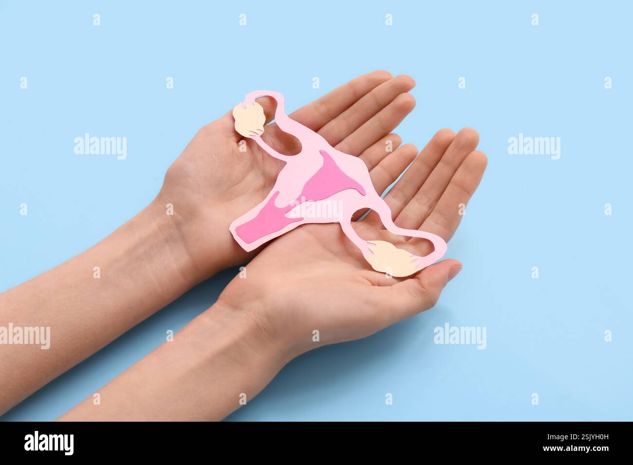 Female hands paper uterus hi-res stock photography and images - Alamy
