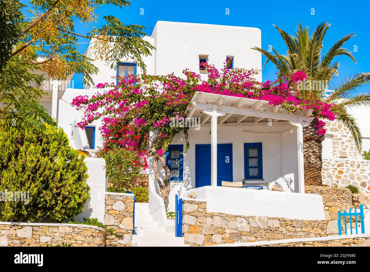 Traditional white Greek house decorated with bougainvillea flowers in ...