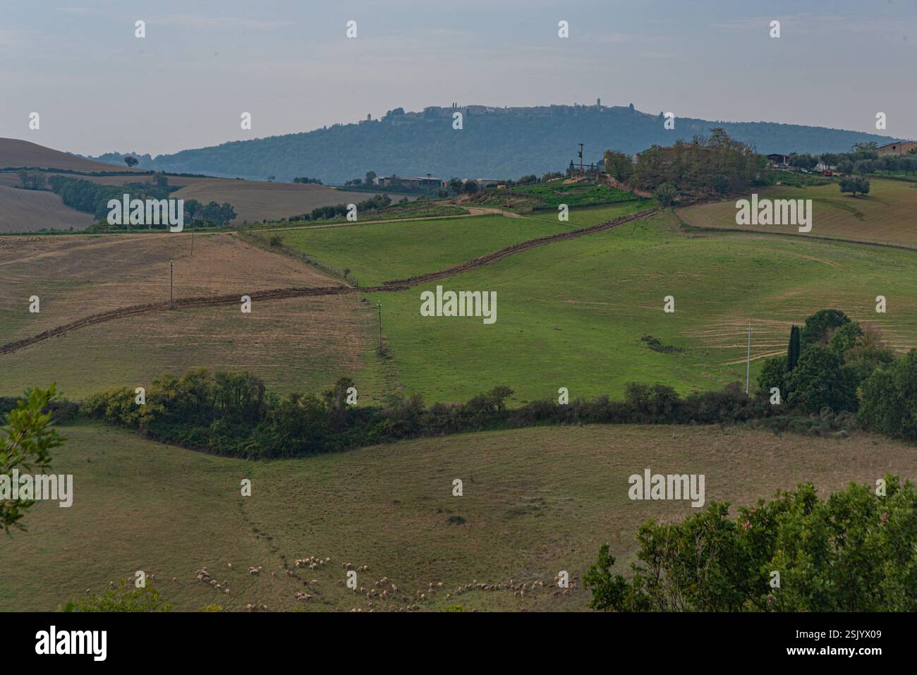 Tuscany countryside outside of Montepulciano, Italy Stock Photo - Alamy