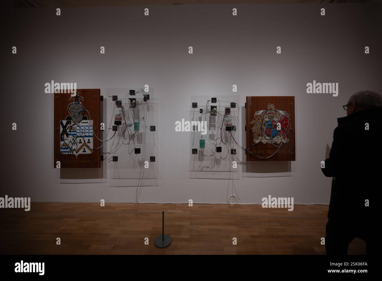 London, UK, 11th February 2025, Donald Rodney: Visceral Canker ...