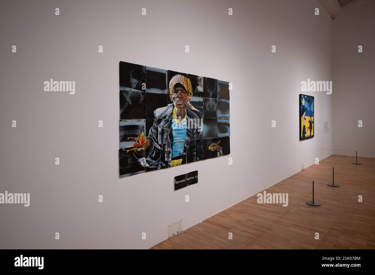 London, UK, 11th February 2025, Donald Rodney: Visceral Canker ...