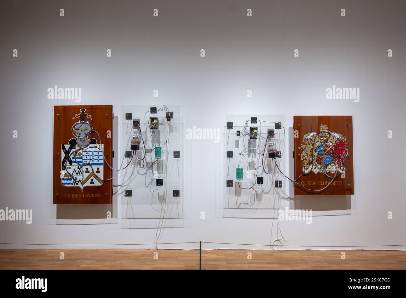 London, UK, 11th February 2025, Donald Rodney: Visceral Canker ...