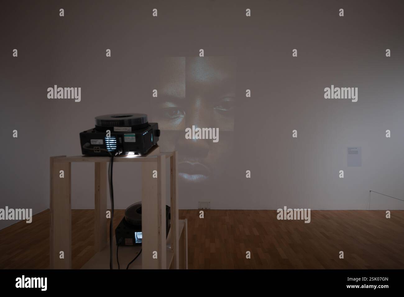London, UK, 11th February 2025, Donald Rodney: Visceral Canker ...