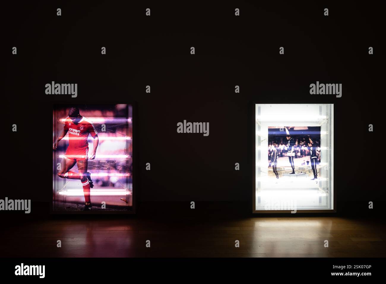 London, UK, 11th February 2025, Donald Rodney: Visceral Canker ...