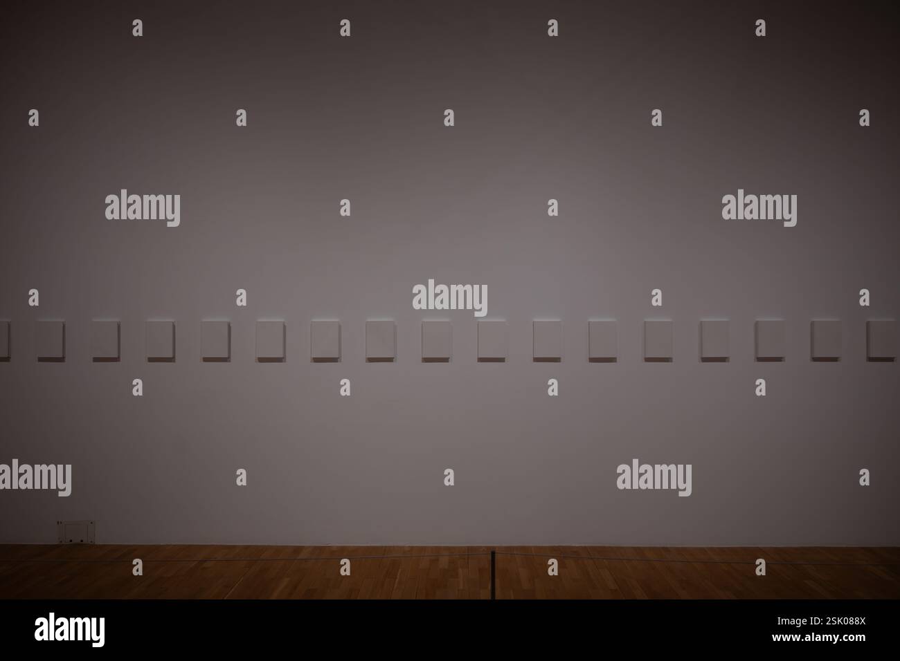 London, UK, 11th February 2025, Donald Rodney: Visceral Canker ...