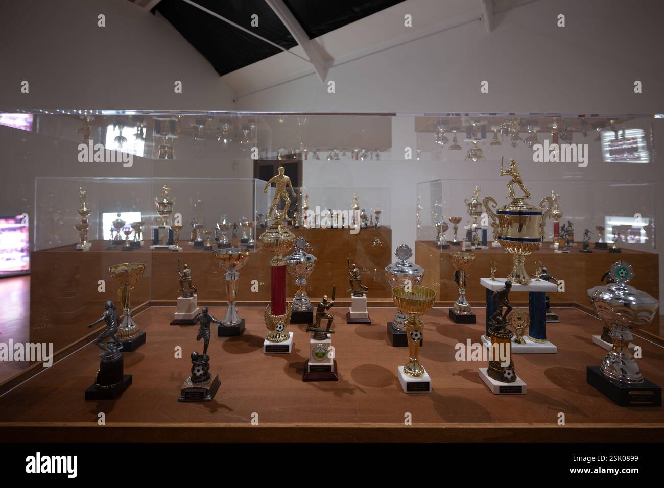 London, UK, 11th February 2025, Donald Rodney: Visceral Canker ...