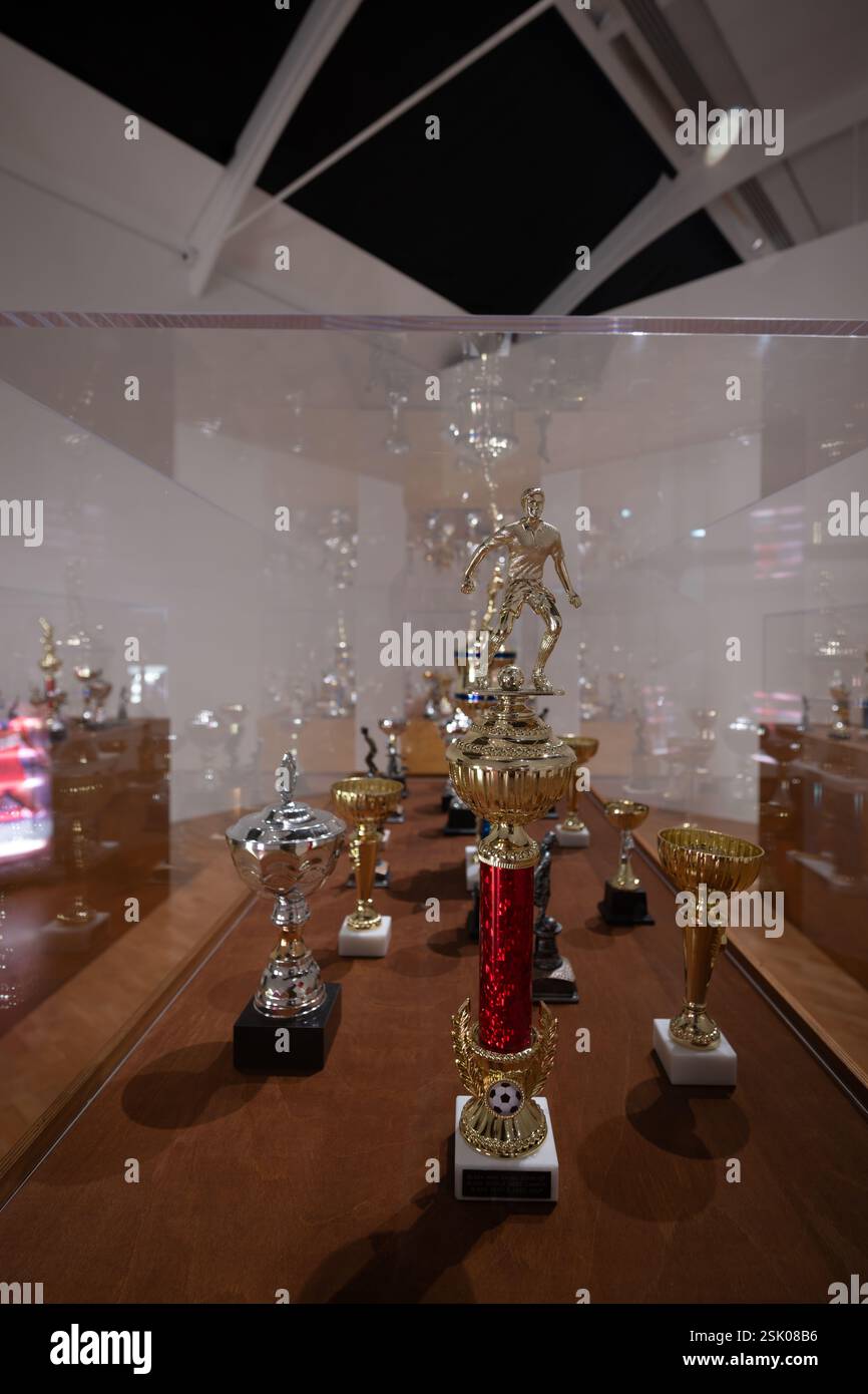 London, UK, 11th February 2025, Donald Rodney: Visceral Canker ...